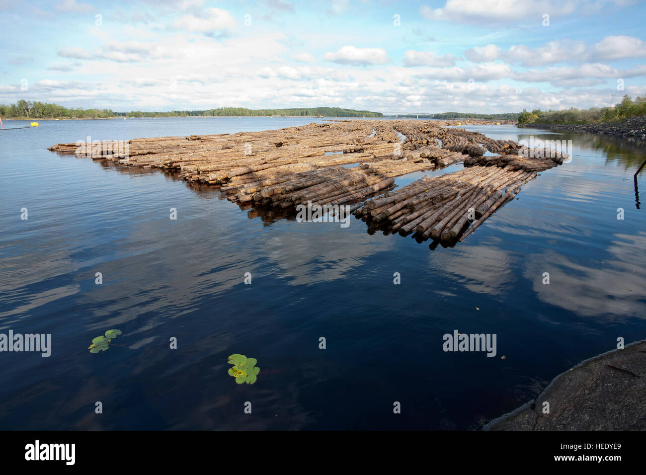 logs floating on lake, Finland Stock Photo - Alamy