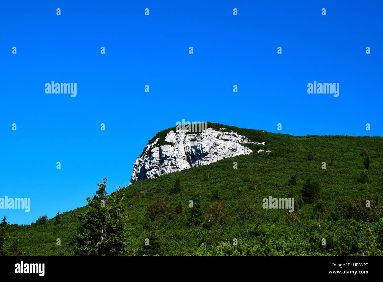 Hill vegetation hi-res stock photography and images - Alamy