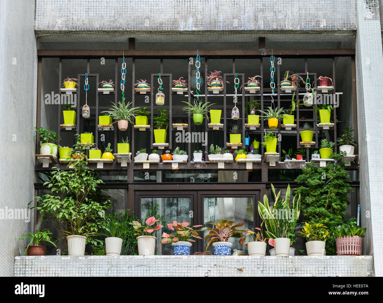 Window plants hi-res stock photography and images - Alamy