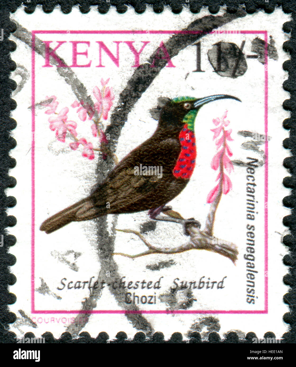 KENYA - CIRCA 1993: A stamp printed in Kenya, shows a bird Scarlet ...