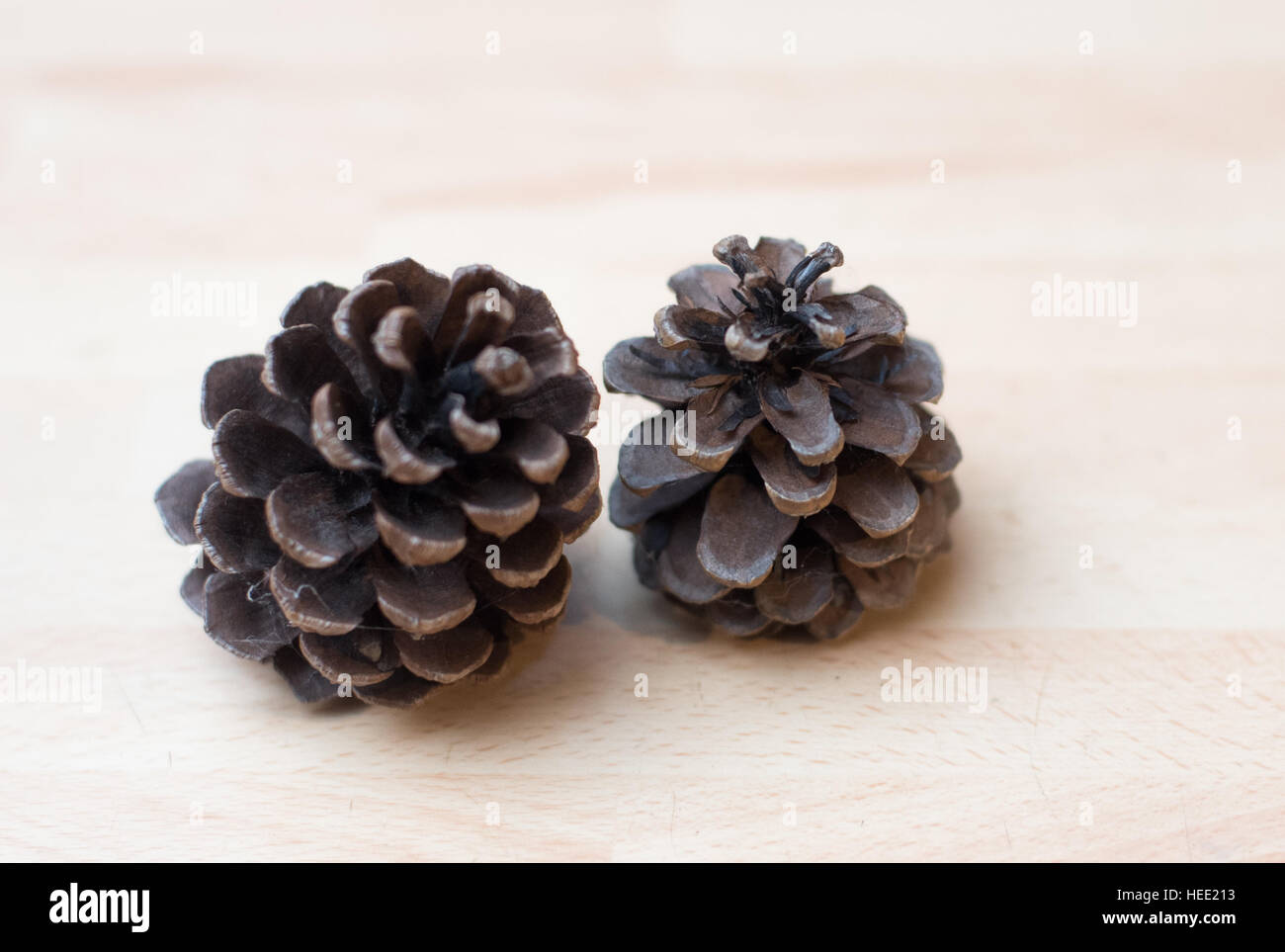 Cone fir hi-res stock photography and images - Alamy