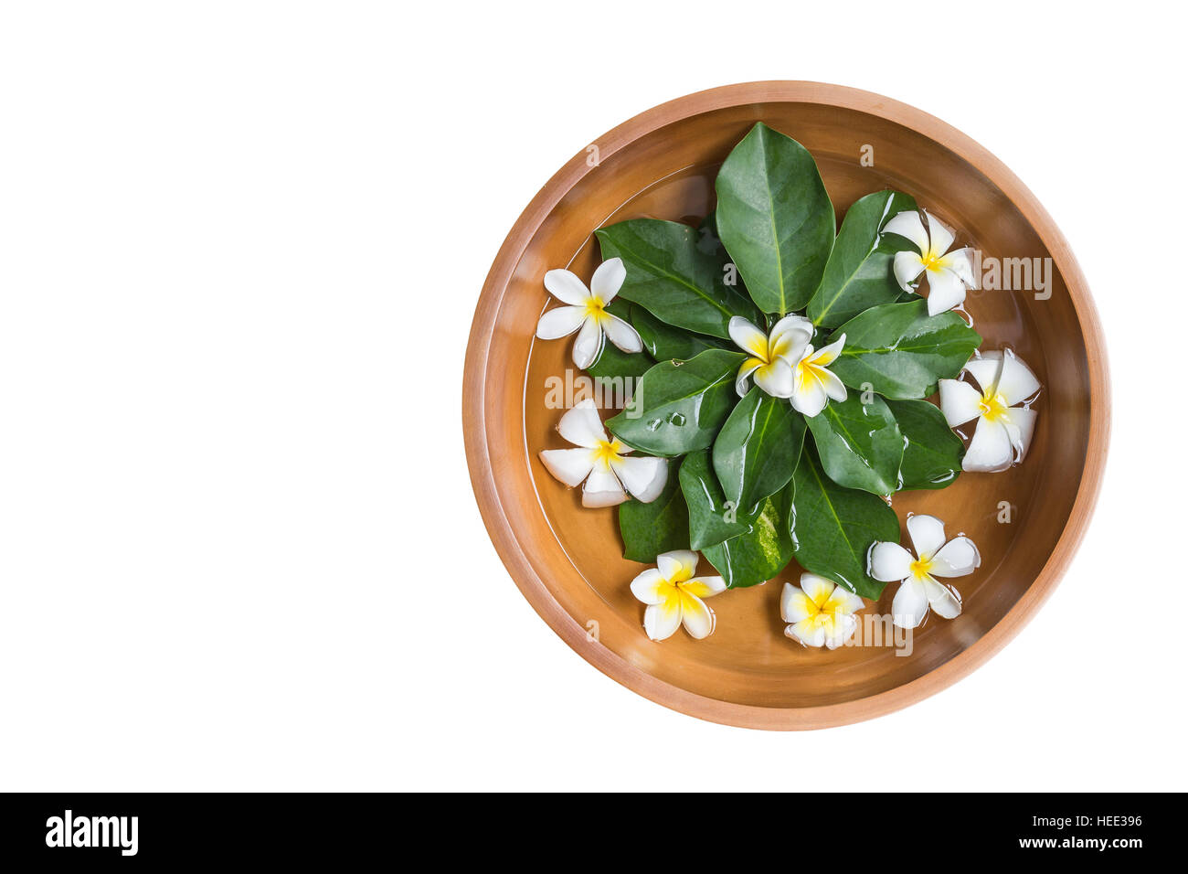 Top view green pool Cut Out Stock Images & Pictures - Alamy