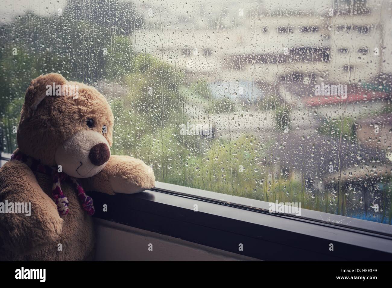 Brown teddy bear sitting beside the window while raining Stock Photo ...