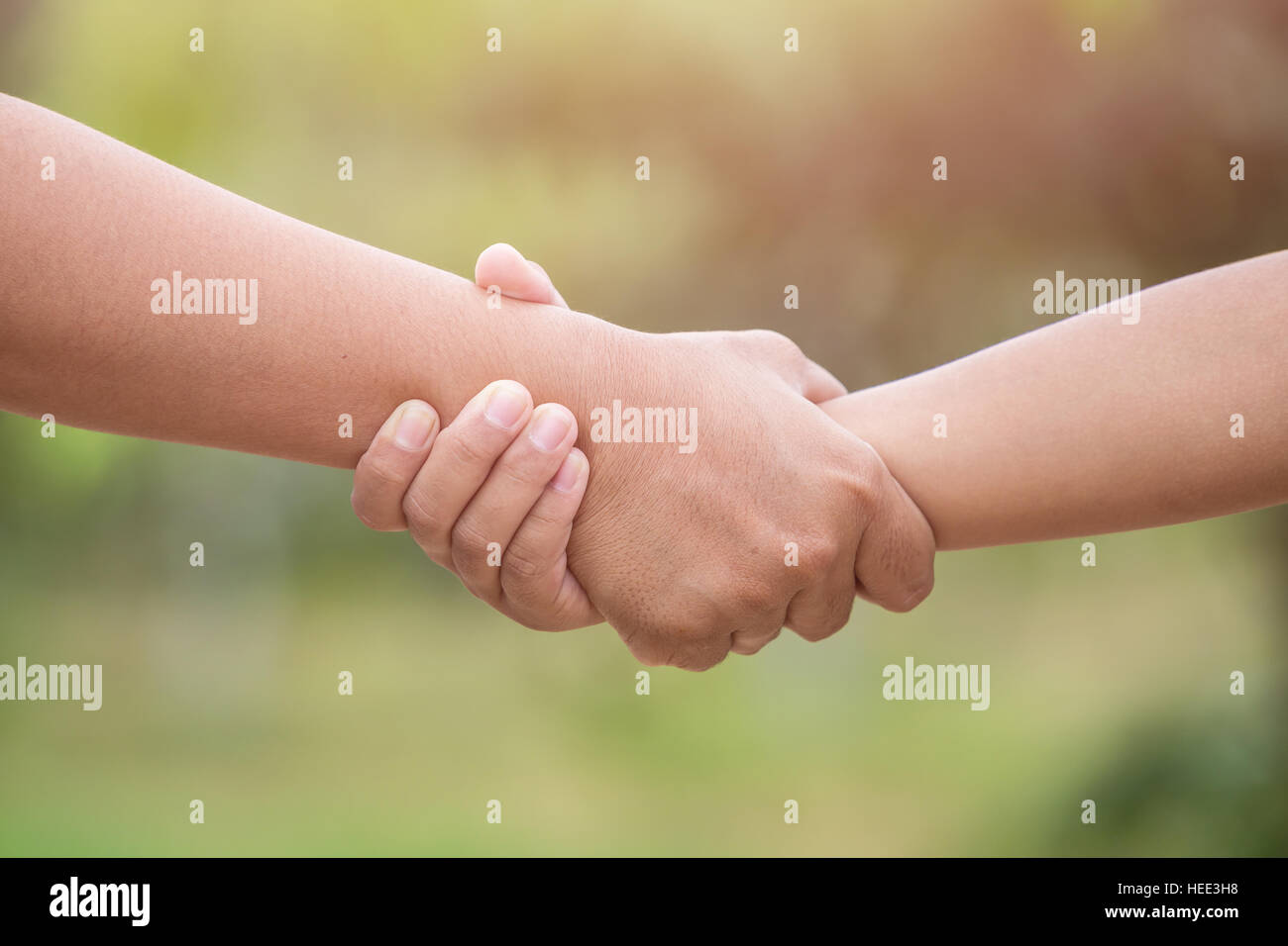 Two hands holding together. Help or support concept. On green blur ...