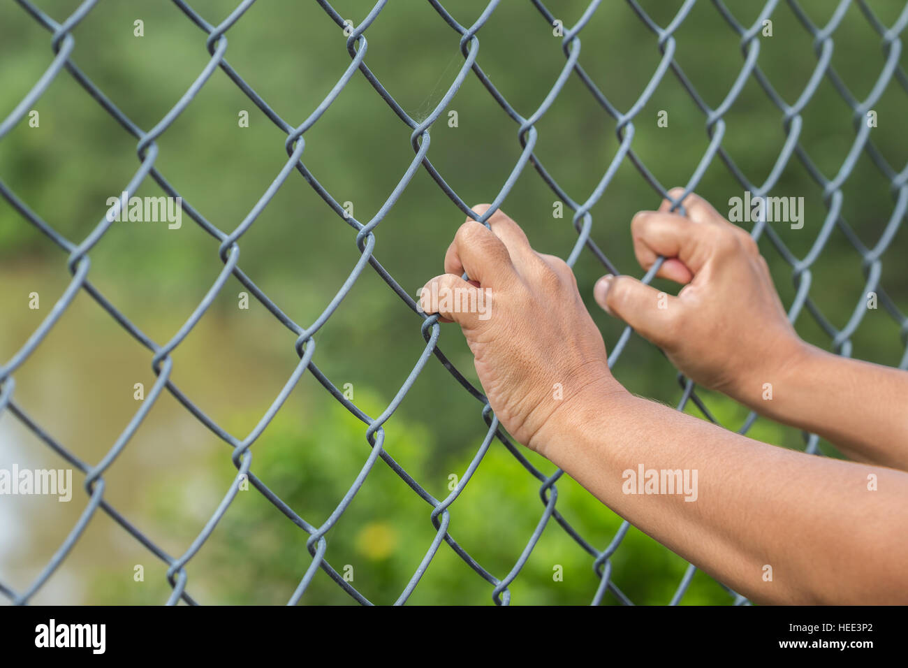 Close up hands hanging on metal chain link fence Stock Photo - Alamy