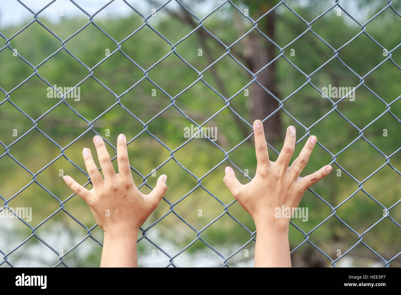 Close up hands hanging on metal chain link fence Stock Photo - Alamy