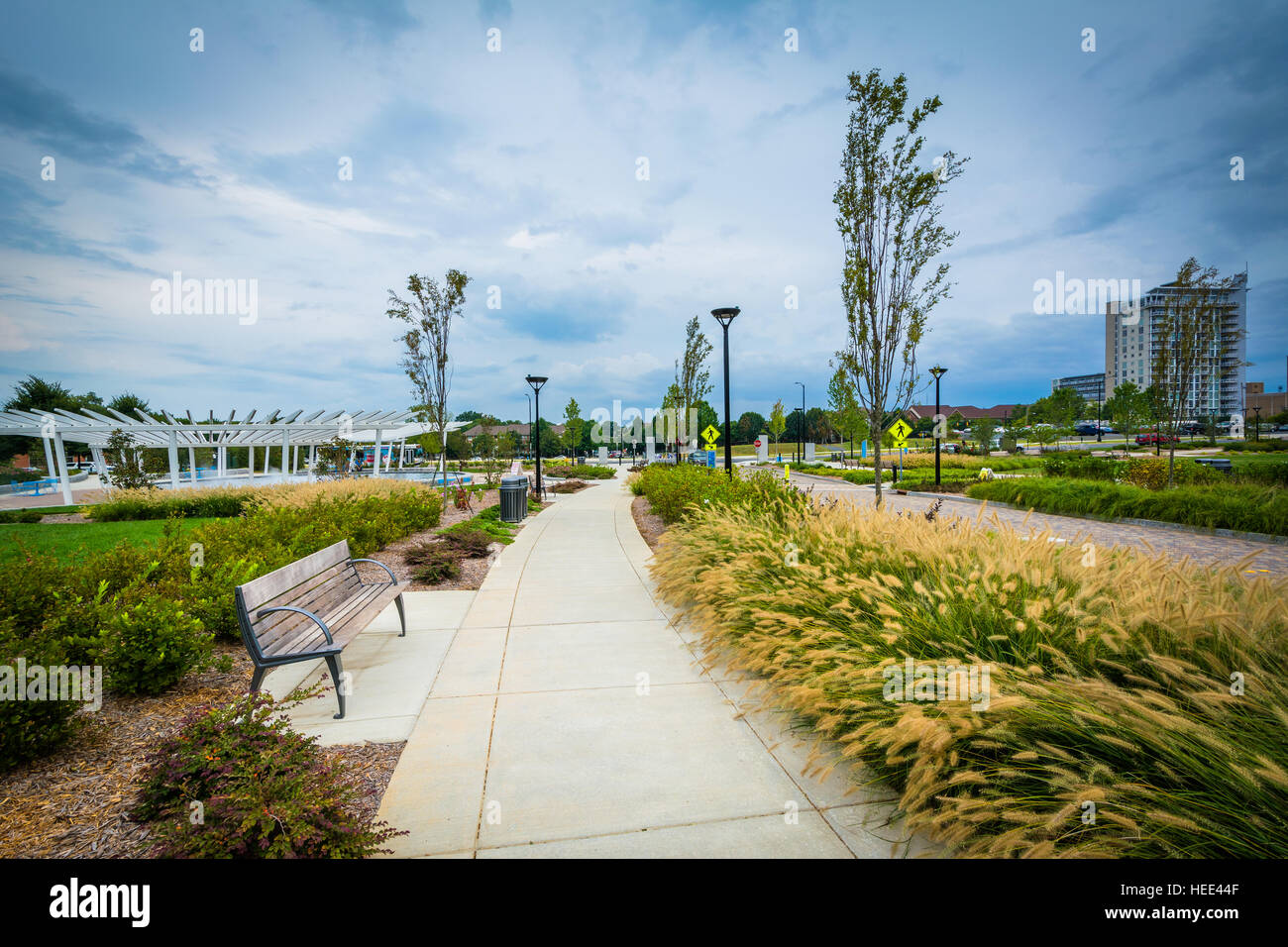 Walkway and grasses at First Ward Park, in Uptown Charlotte, North ...