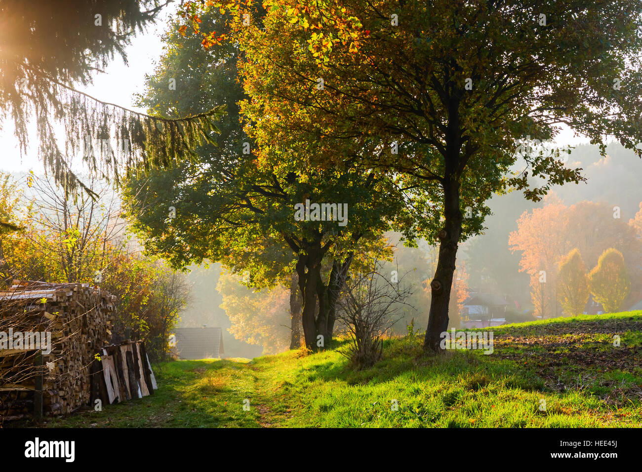 Rural country landscape hi-res stock photography and images - Alamy