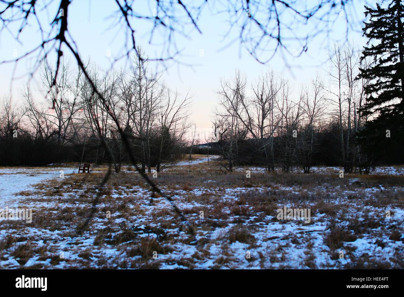 Chinooks canada hi-res stock photography and images - Alamy