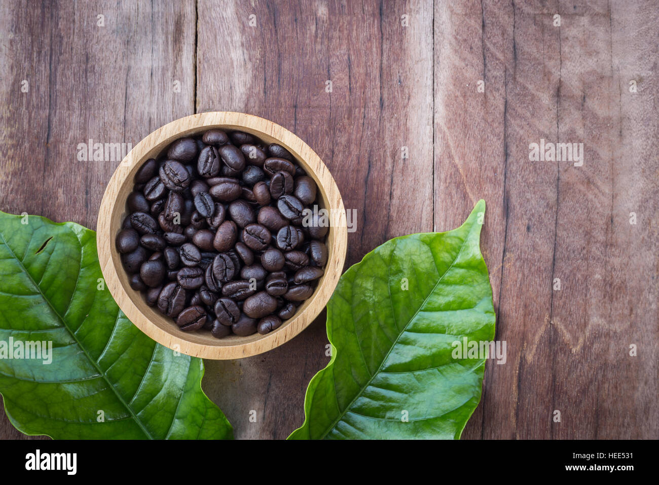 Coffee tree green beans on hi-res stock photography and images - Alamy