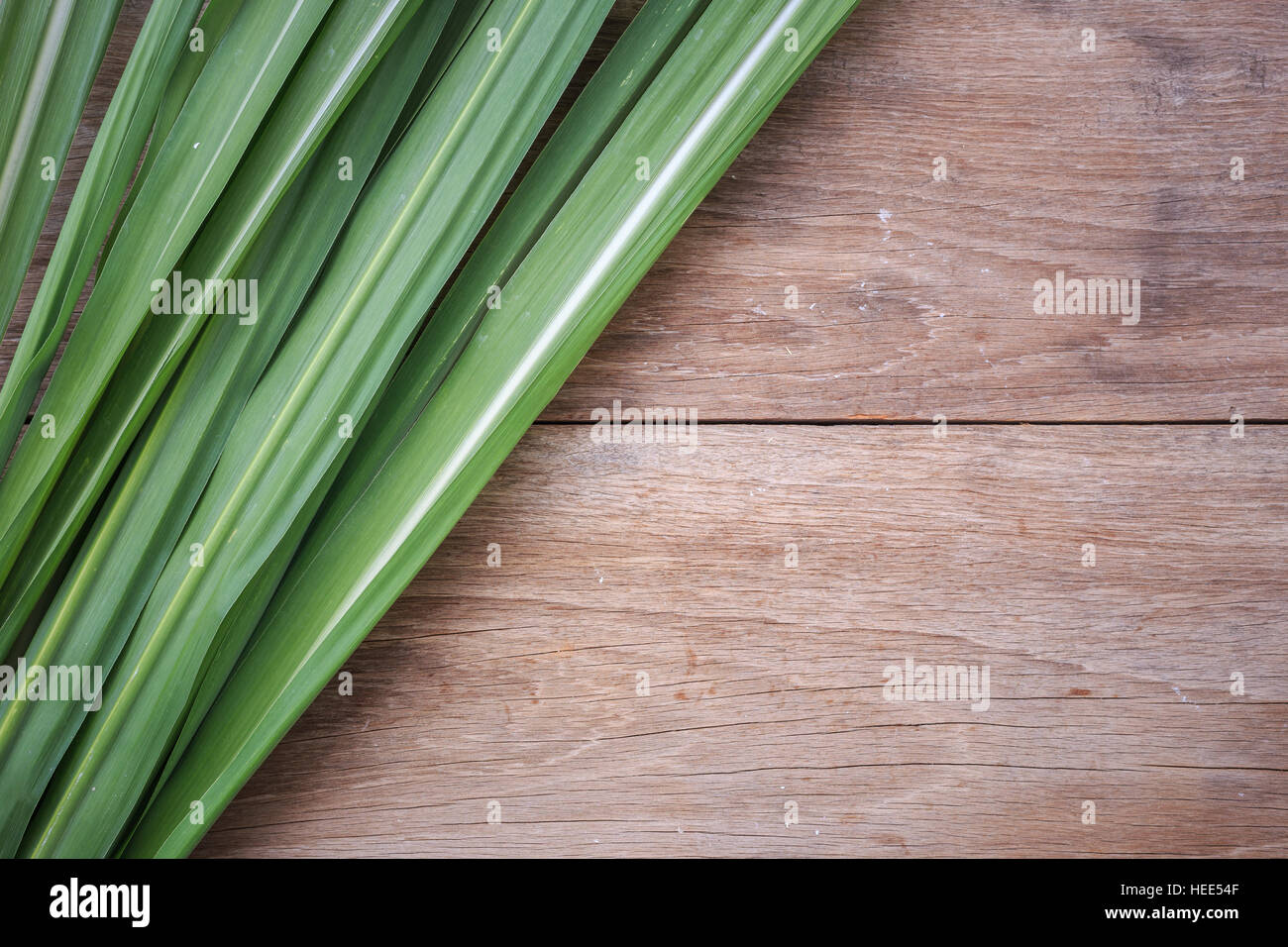 Sugar cane tree hi-res stock photography and images - Alamy