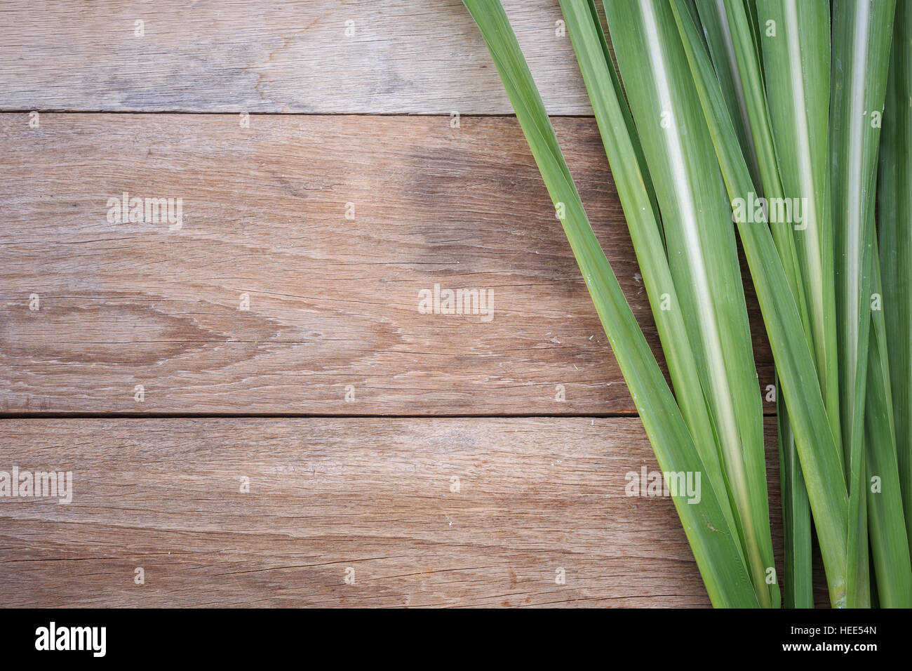 Top view green leaf of sugar tree on wooden background Stock Photo - Alamy