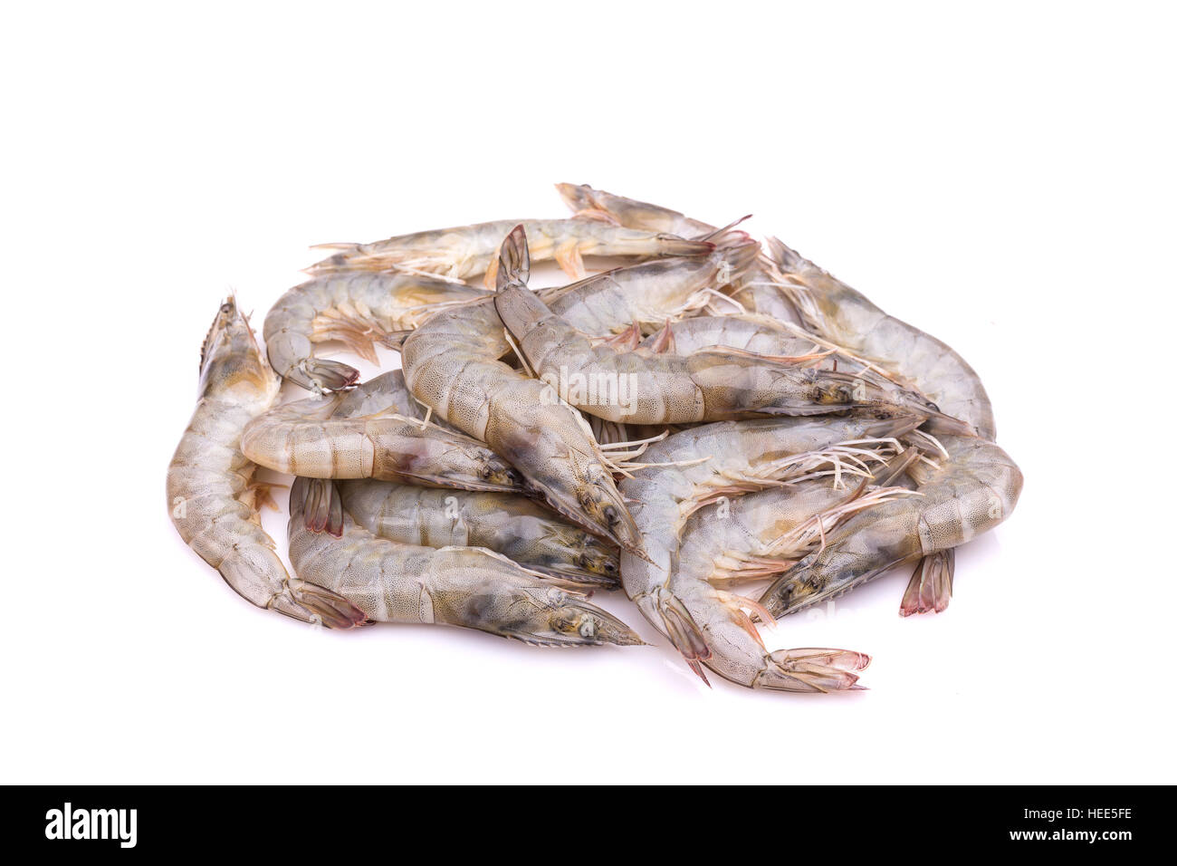Close up fresh shrimp isolated on white background Stock Photo - Alamy