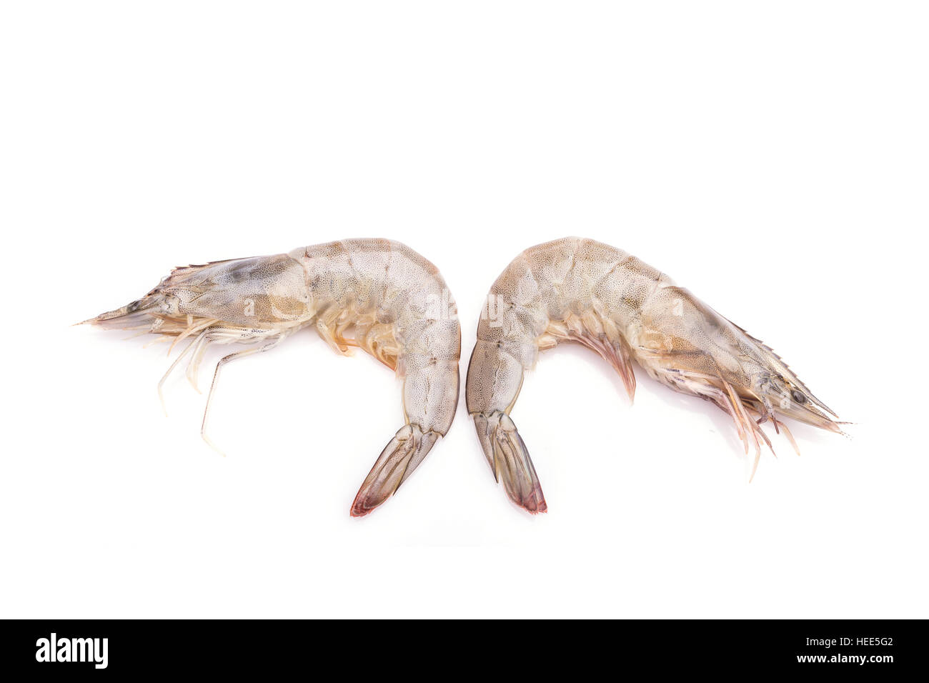 Shell on head on shrimp hi-res stock photography and images - Alamy