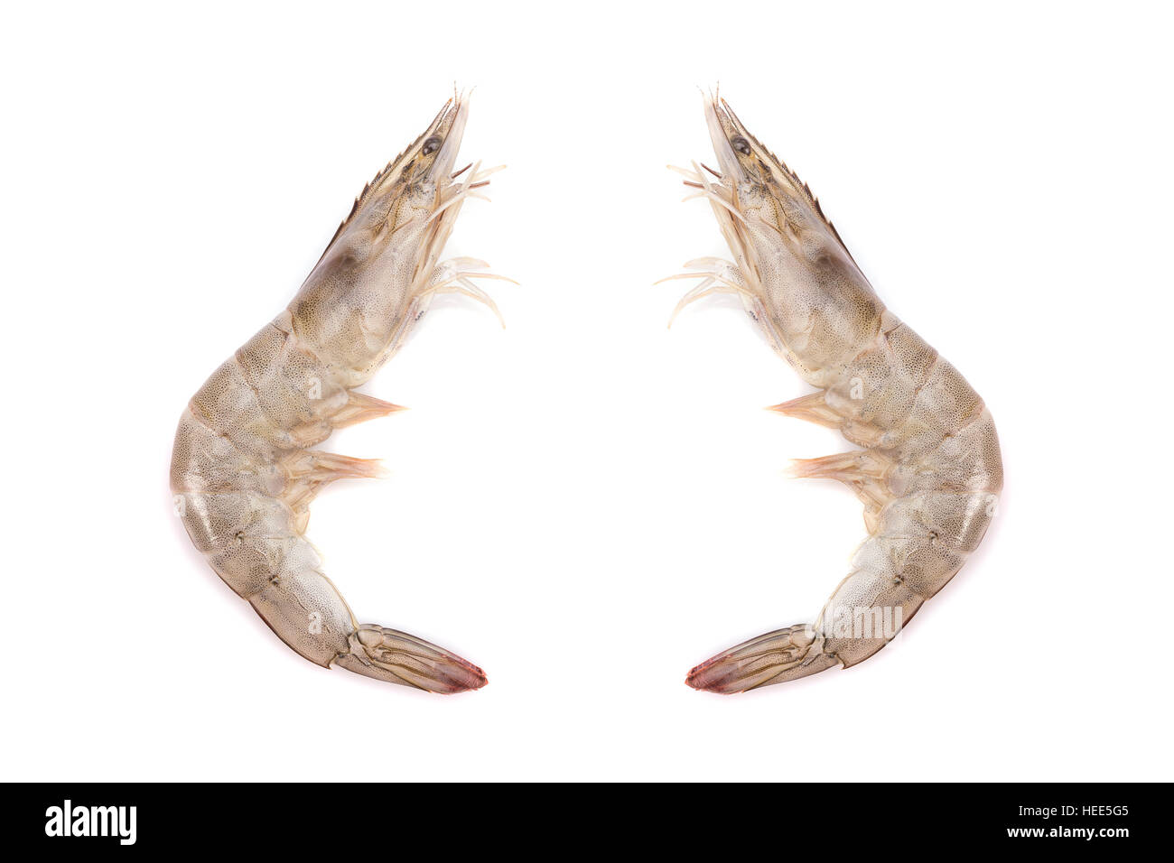 Close up fresh shrimp isolated on white background Stock Photo - Alamy