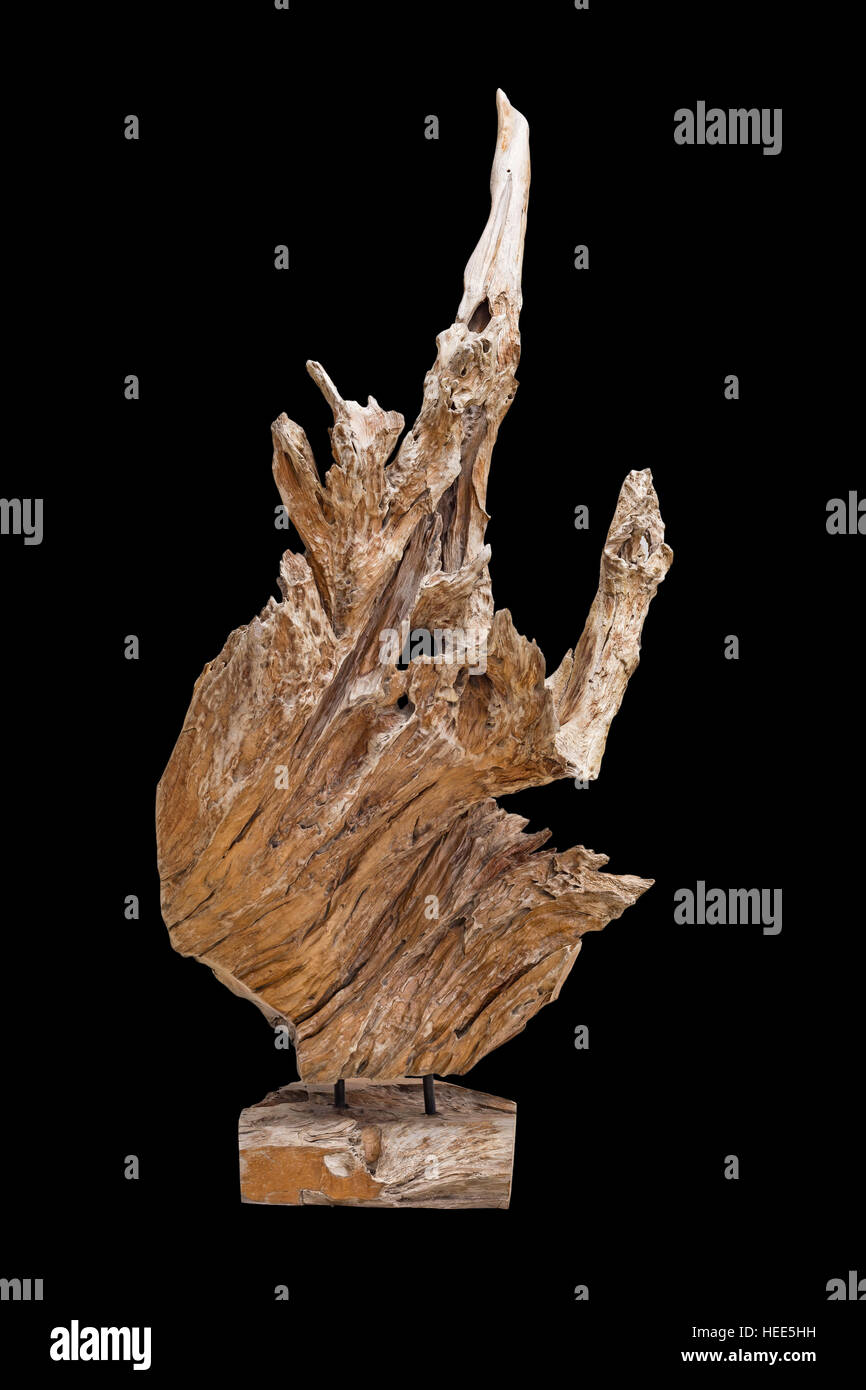 Abstract of root tree used as decoration isolated on white background ...