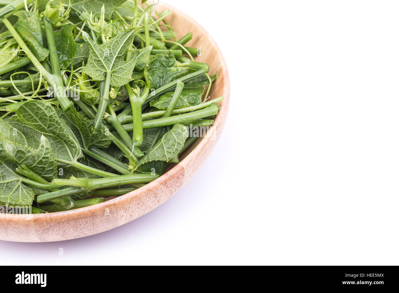 Close up fresh green chayote leaf isolated on white background Stock ...