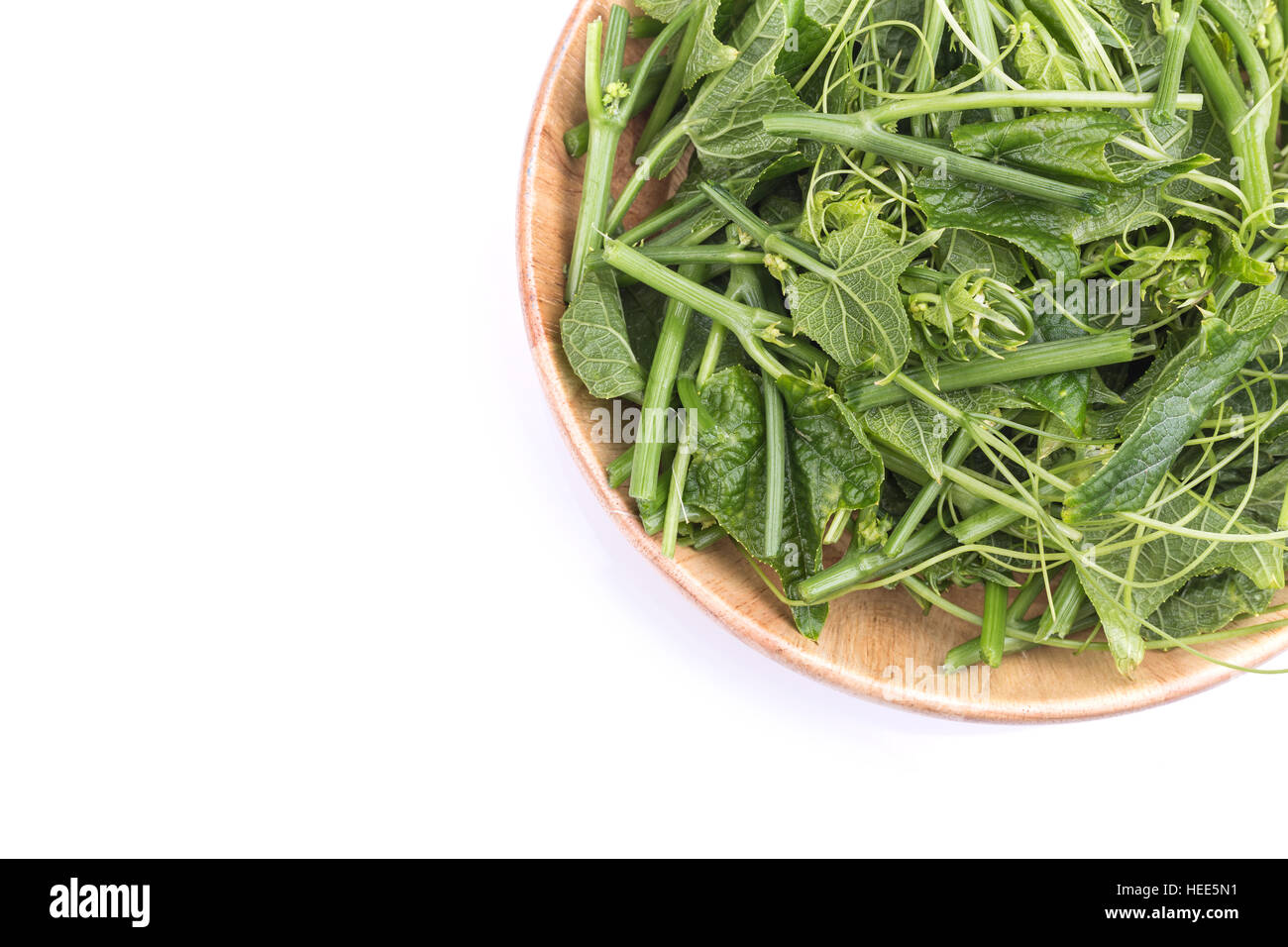 Close up fresh green chayote leaf isolated on white background Stock ...