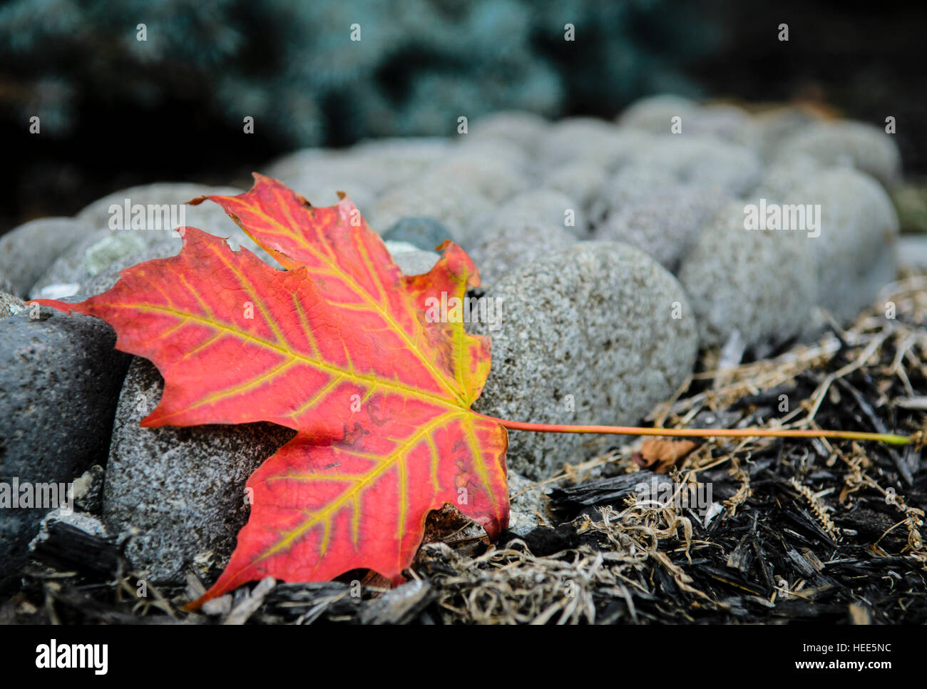 Backdrop of fallen rocks hi-res stock photography and images - Alamy