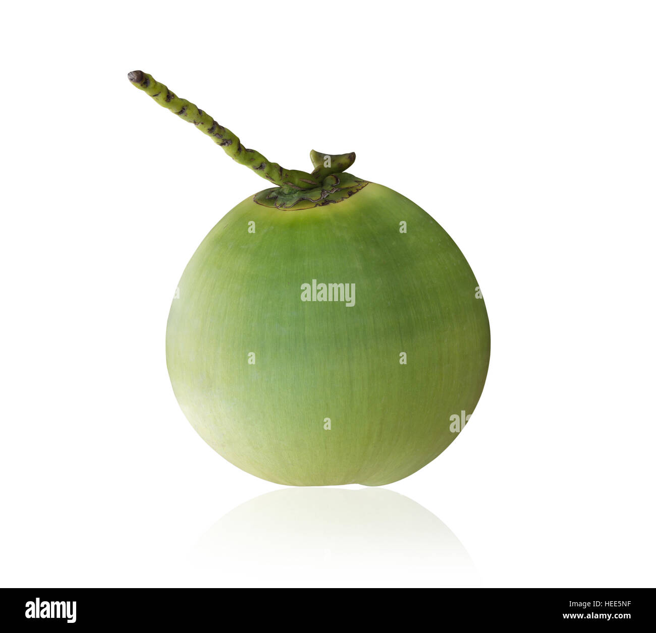 Fresh green young coconut isolated on white background. Saved with ...