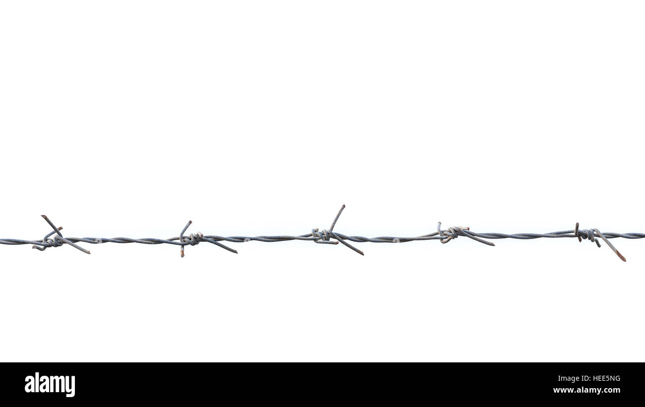 Old silver metal rusty barbed wire isolated on white background Stock ...