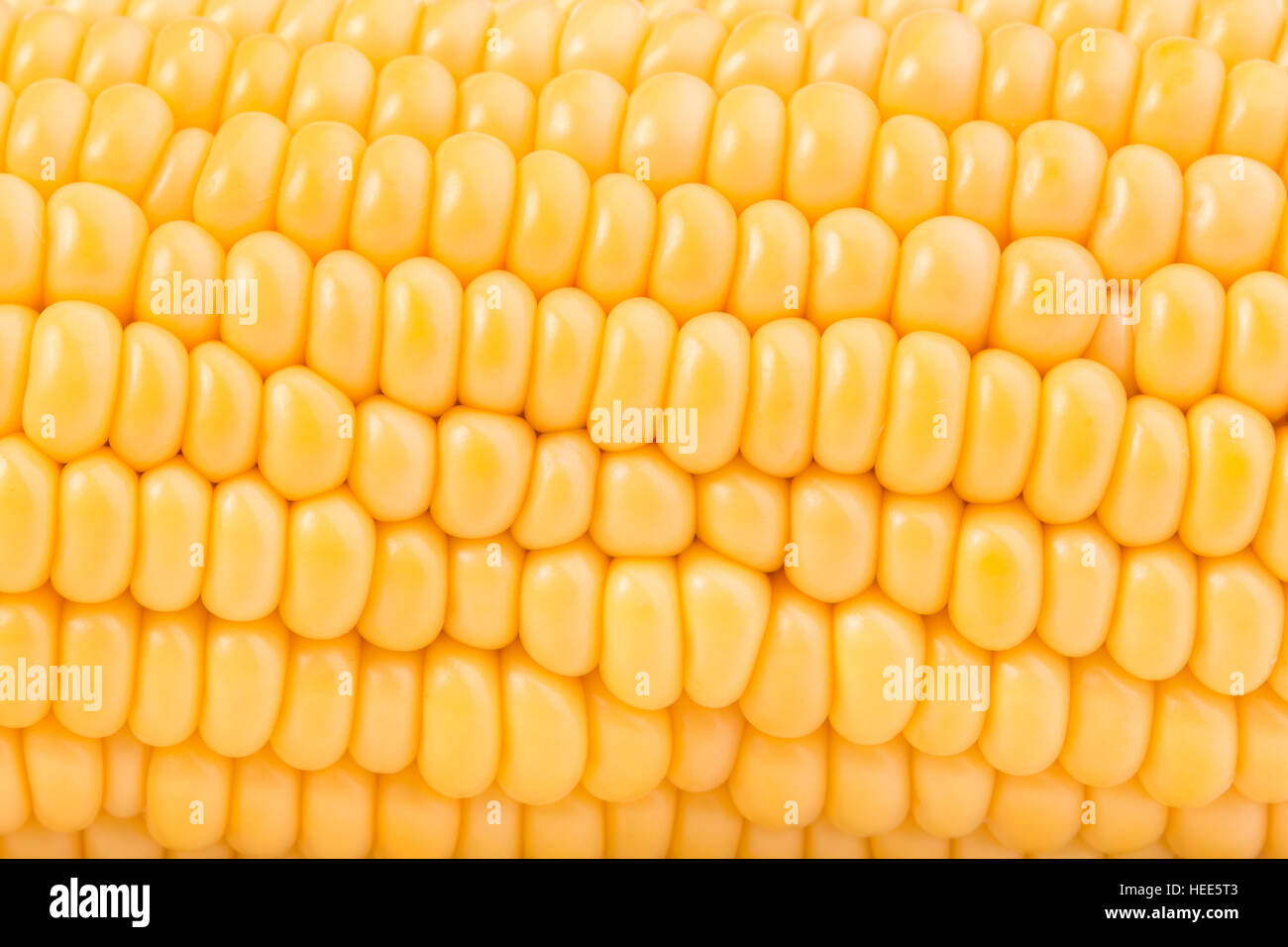 Close up yellow fresh raw corn cobs isolated on white background Stock ...