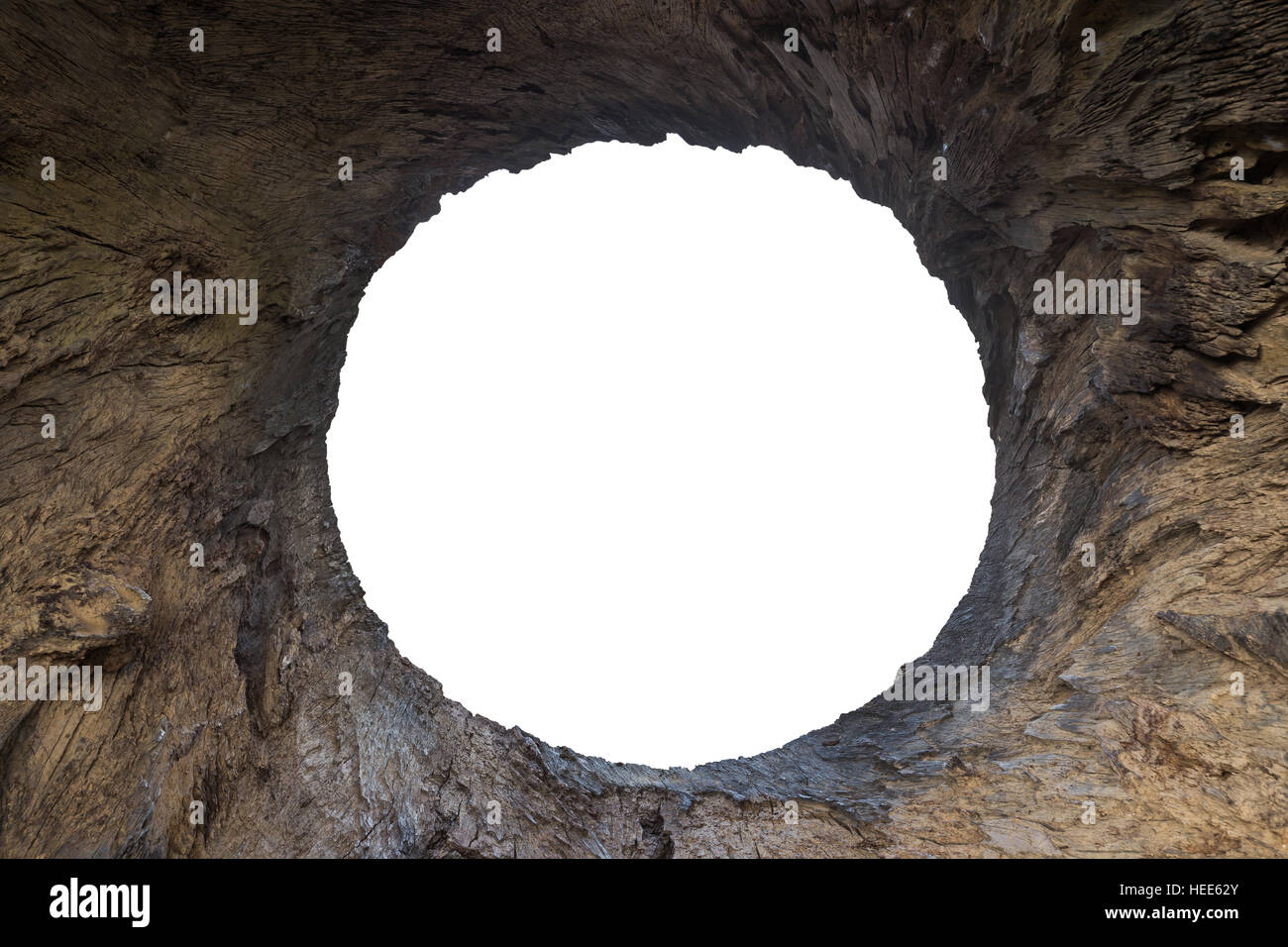 Hole of big wood log with white isolated on middle for design. Saved ...