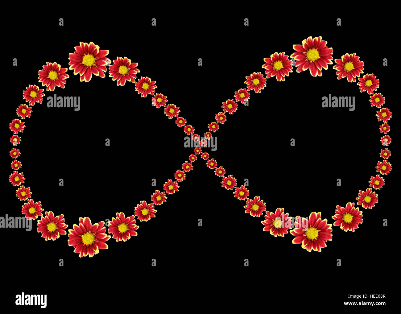 Infinity symbol of red flower isolated on black background. Saved with ...