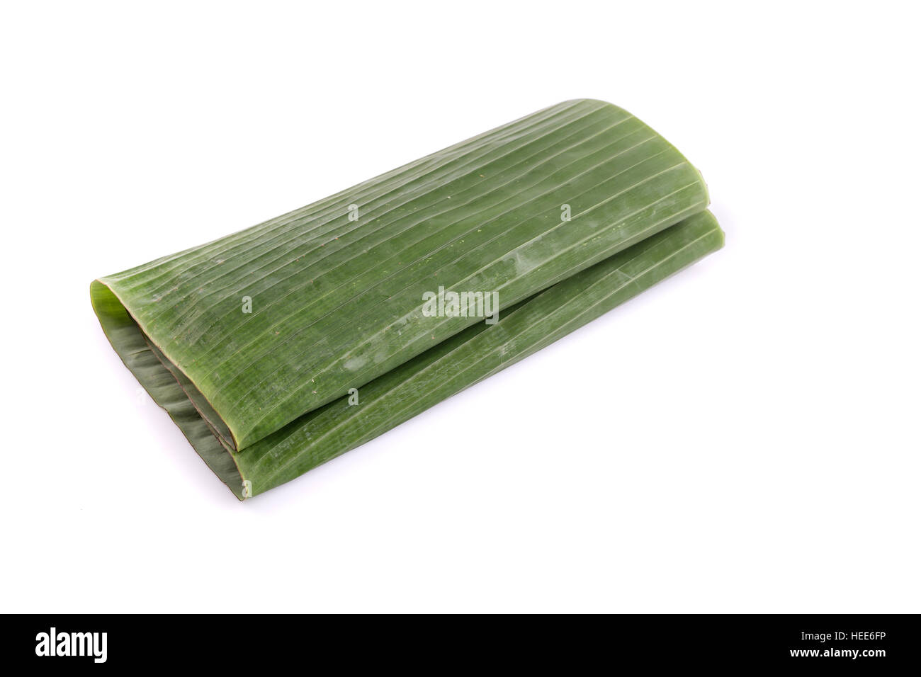 Palm green leaf on Cut Out Stock Images & Pictures - Alamy