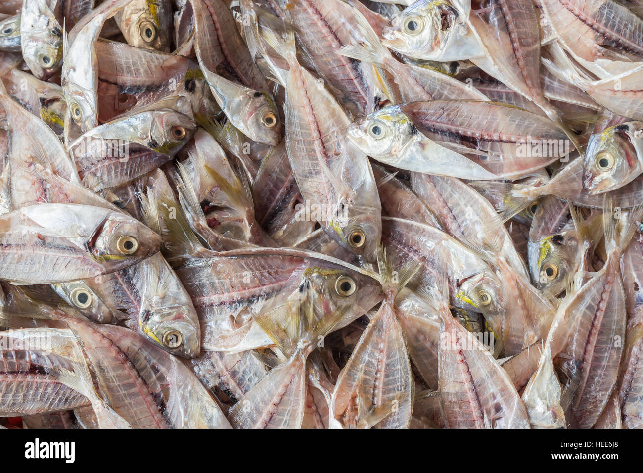 Top view stack of fish skeleton after filleting. Food background Stock ...
