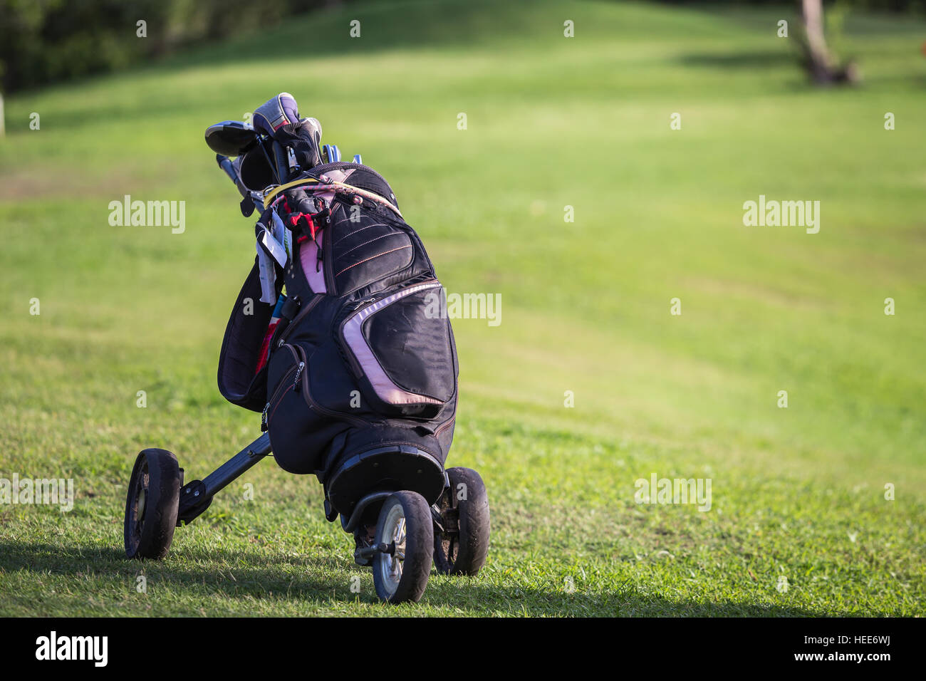 Black golf clubs drivers on green field background Stock Photo - Alamy