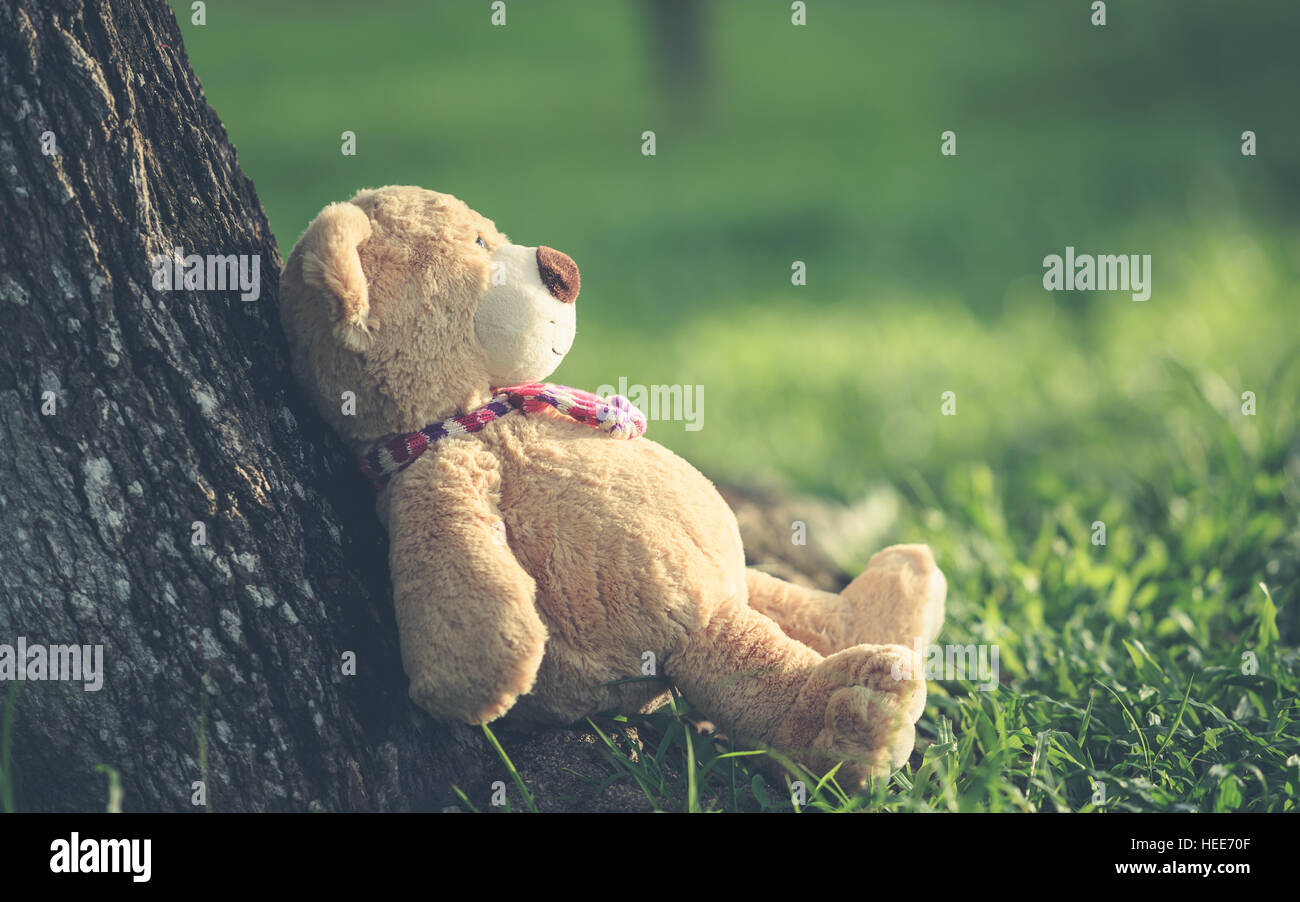 Close up lovely brown teddy bear sitting on grass field with lens flare ...