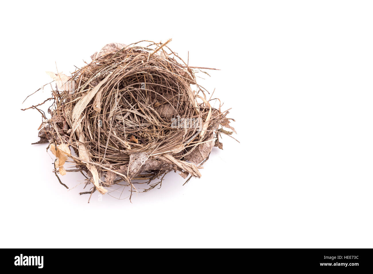 Empty nest syndrome hi-res stock photography and images - Alamy