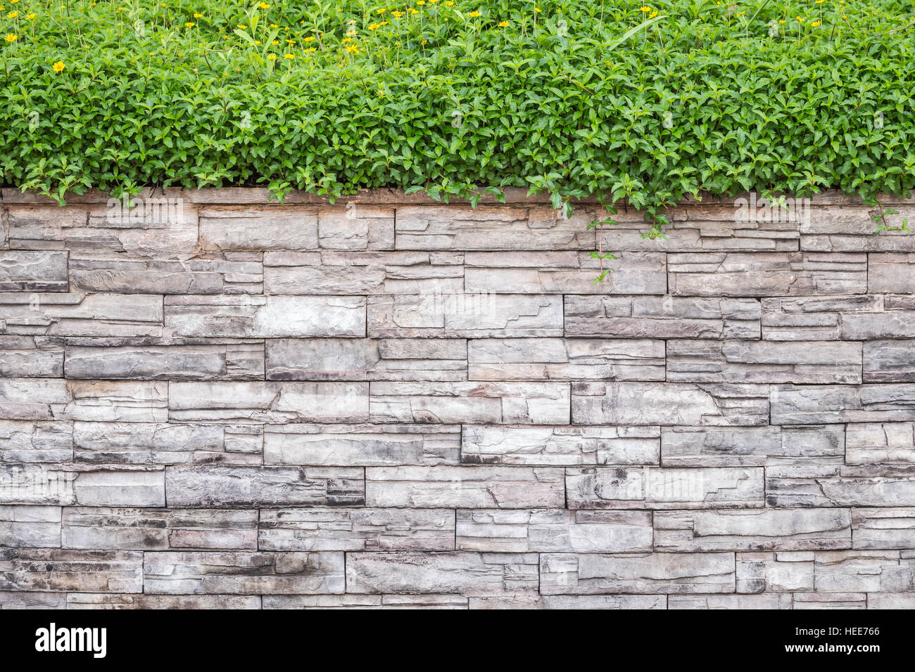 Green decorative stone wall hi-res stock photography and images - Alamy