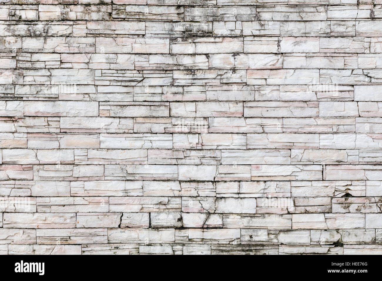 Pattern of white natural stone wall and flower plant. Garden decorative ...