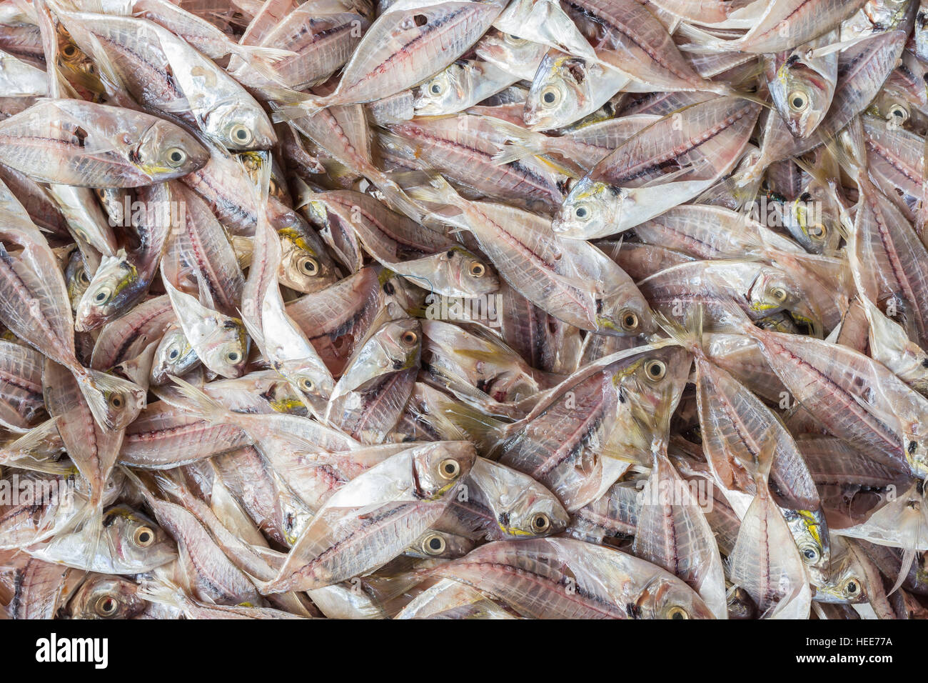 Top view stack of fish skeleton after filleting. Food background Stock ...