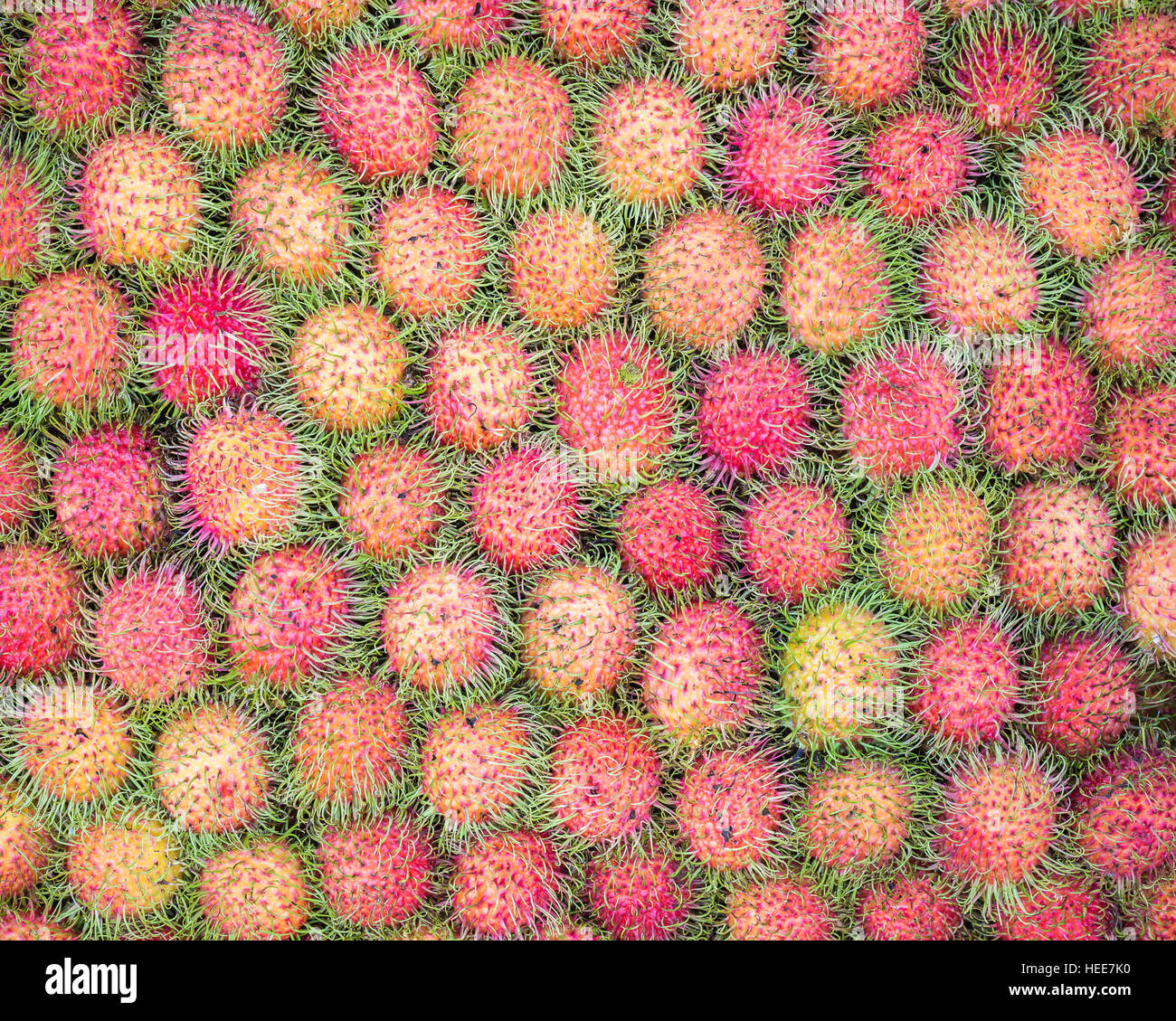 Pattern of rambutan for food background. Rambutan sweet delicious fruit ...