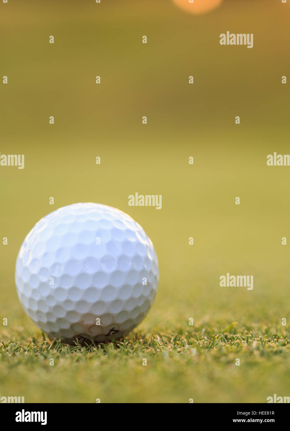 Close up golf ball on green grass in course Stock Photo - Alamy