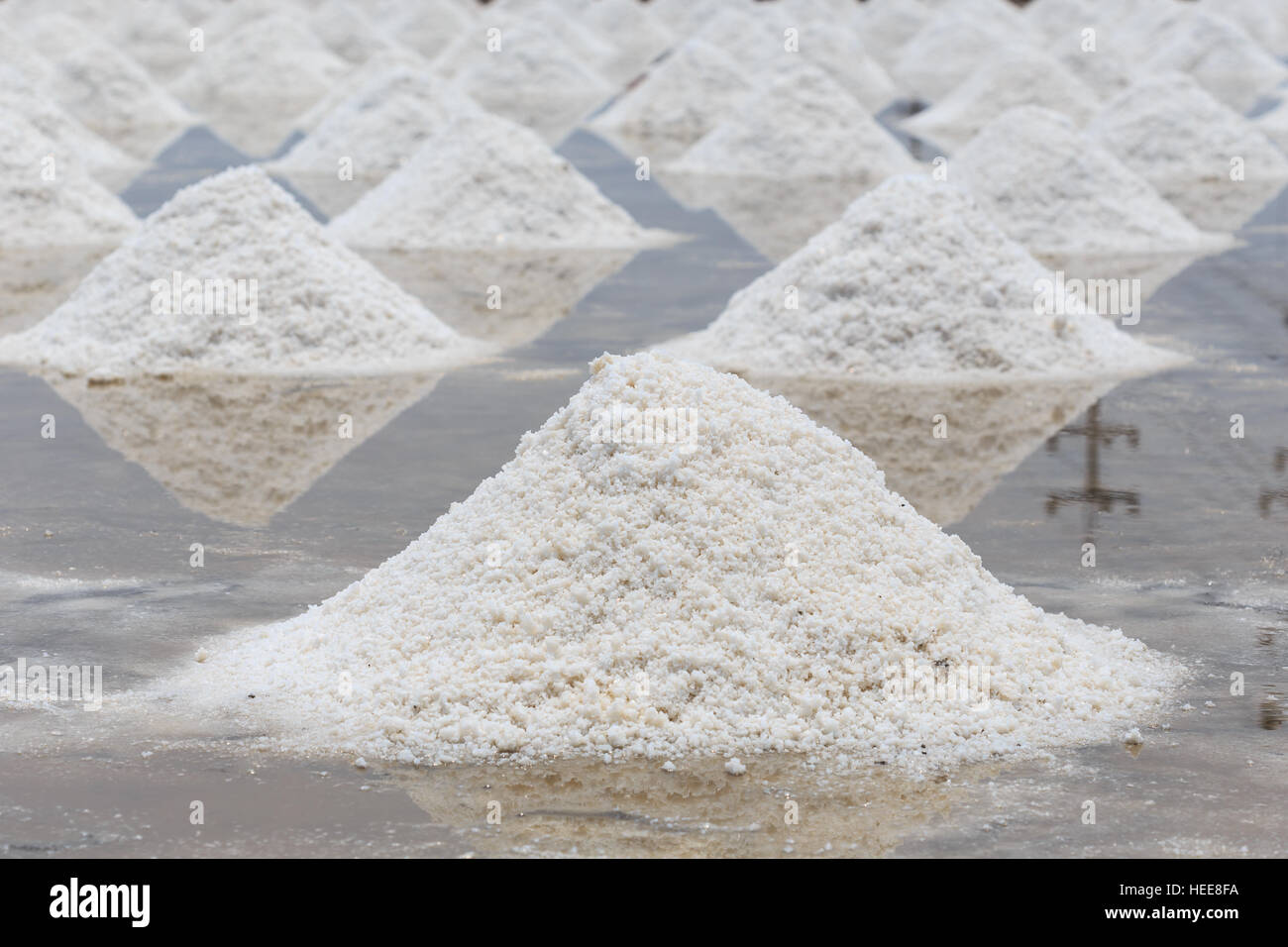Pile of salt in the salt sea salt farm in Thailand Stock Photo - Alamy