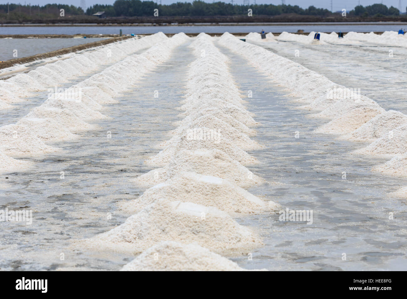 Pile of salt in the salt sea salt farm in Thailand Stock Photo - Alamy