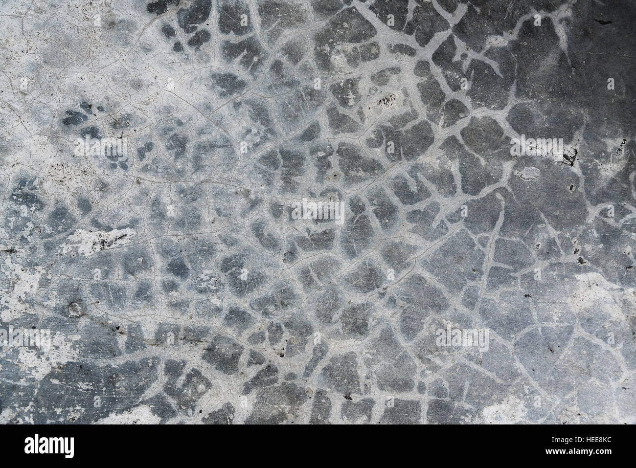 Polished old grey concrete floor texture background Stock Photo - Alamy