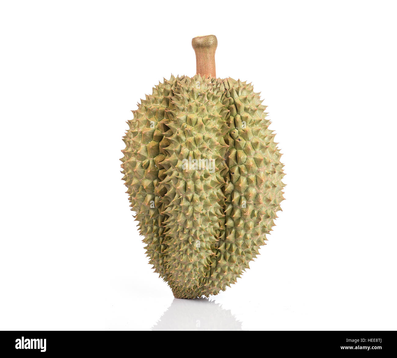 Close up Thai Durian, tropical fruit, isolated on white background ...