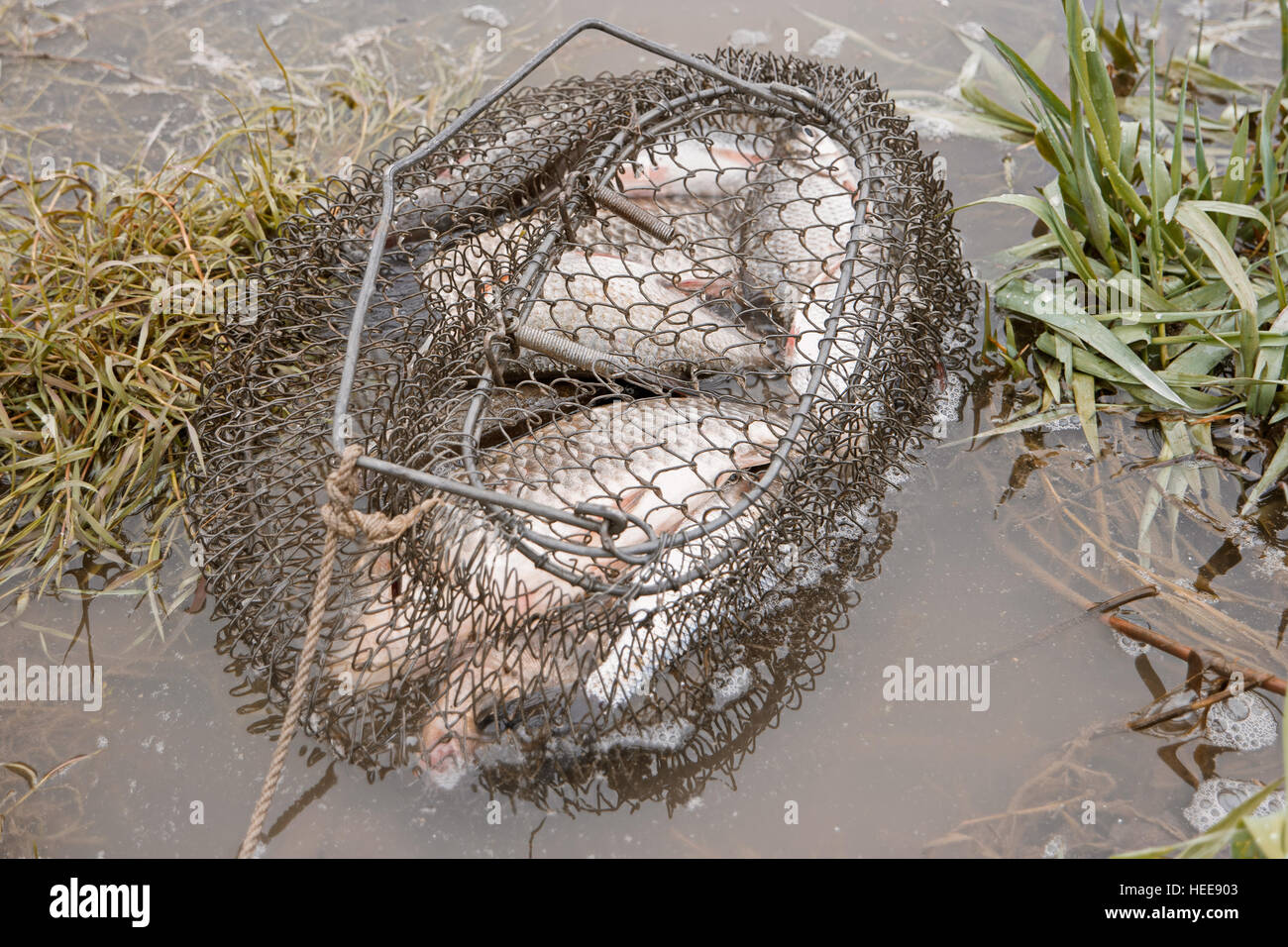 Fish crib hi-res stock photography and images - Alamy