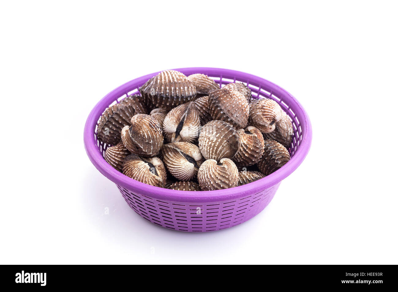 Close up raw blood cockle isolated on white background Stock Photo - Alamy