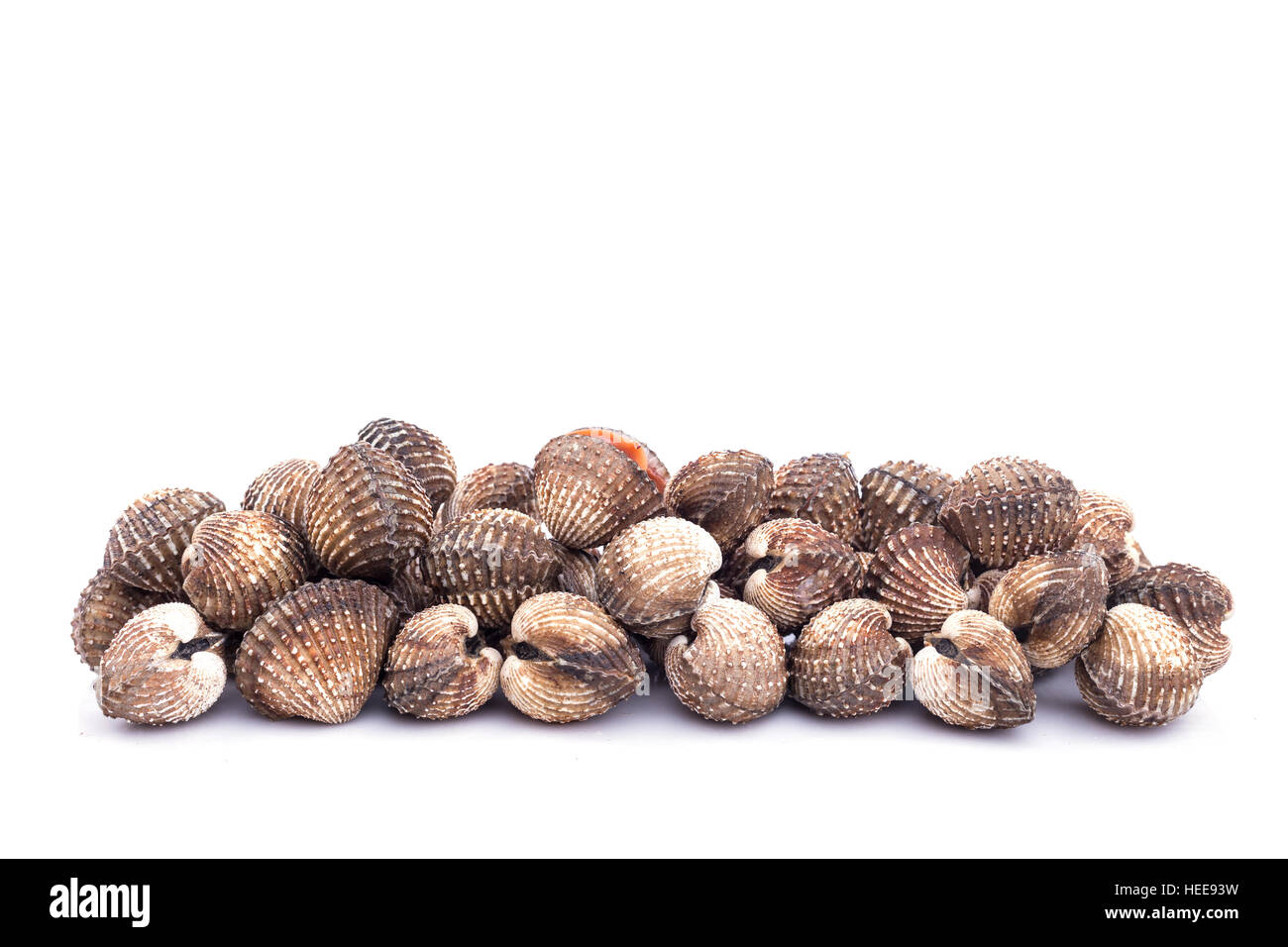 Close up raw blood cockle isolated on white background Stock Photo - Alamy