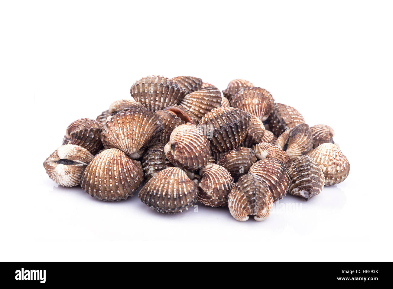 Close up raw blood cockle isolated on white background Stock Photo - Alamy