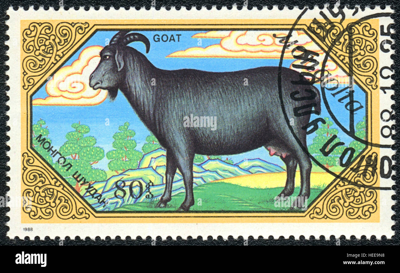 A postage stamp printed in Mongolia shows black doe goat, "Goats ...
