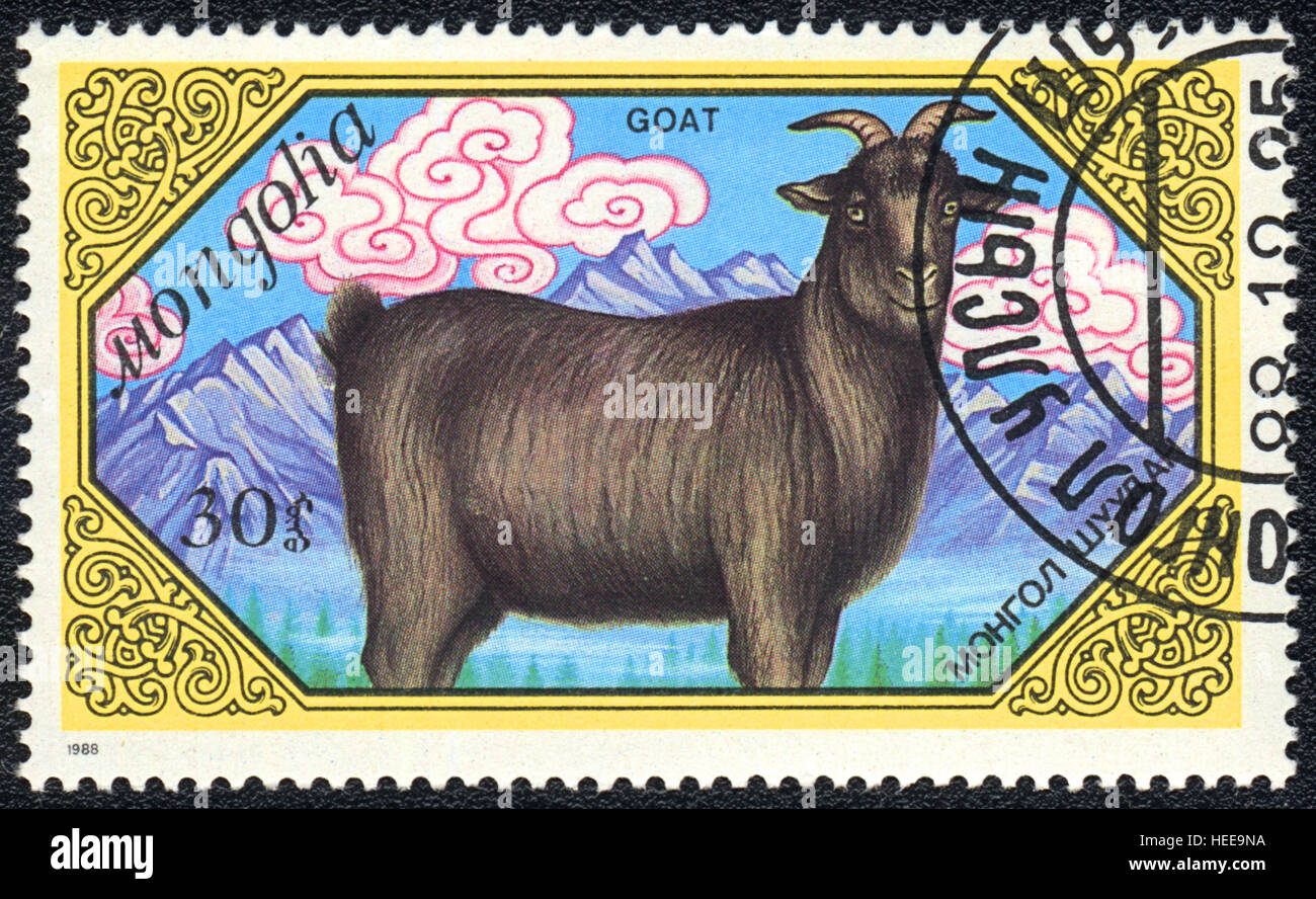 Series of goats hi-res stock photography and images - Alamy