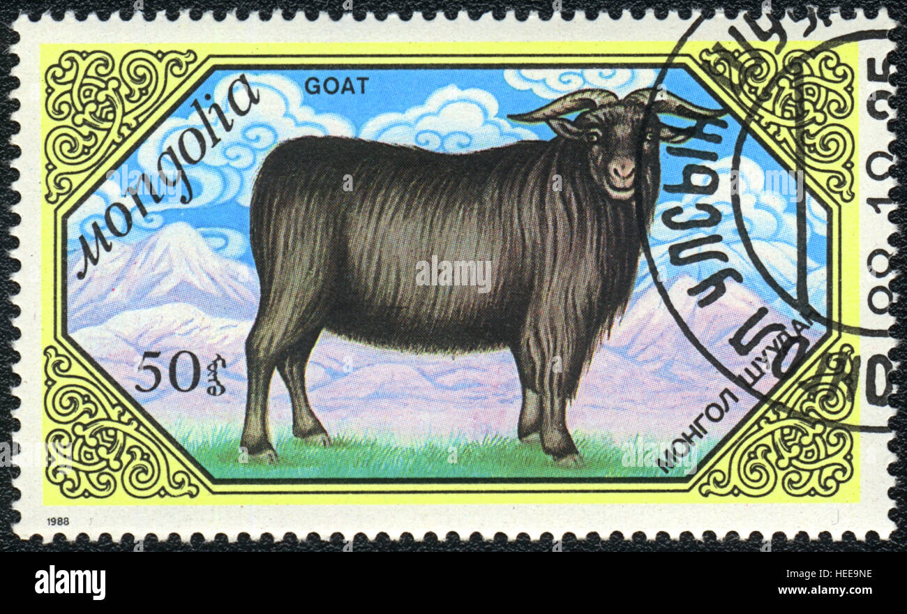 A postage stamp printed in Mongolia shows black long-haired goat ...
