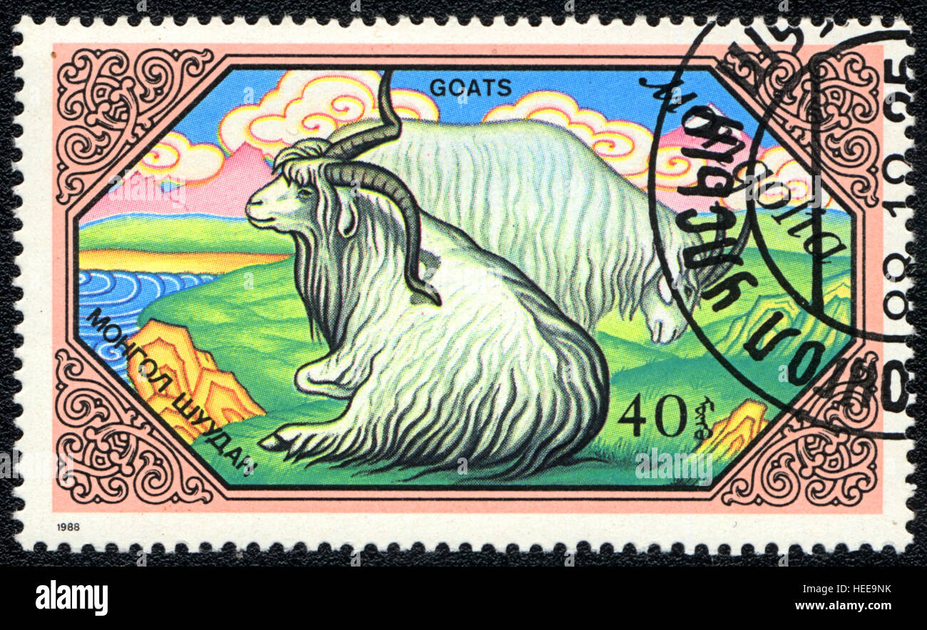 A postage stamp printed in Mongolia shows long-haired white goats ...